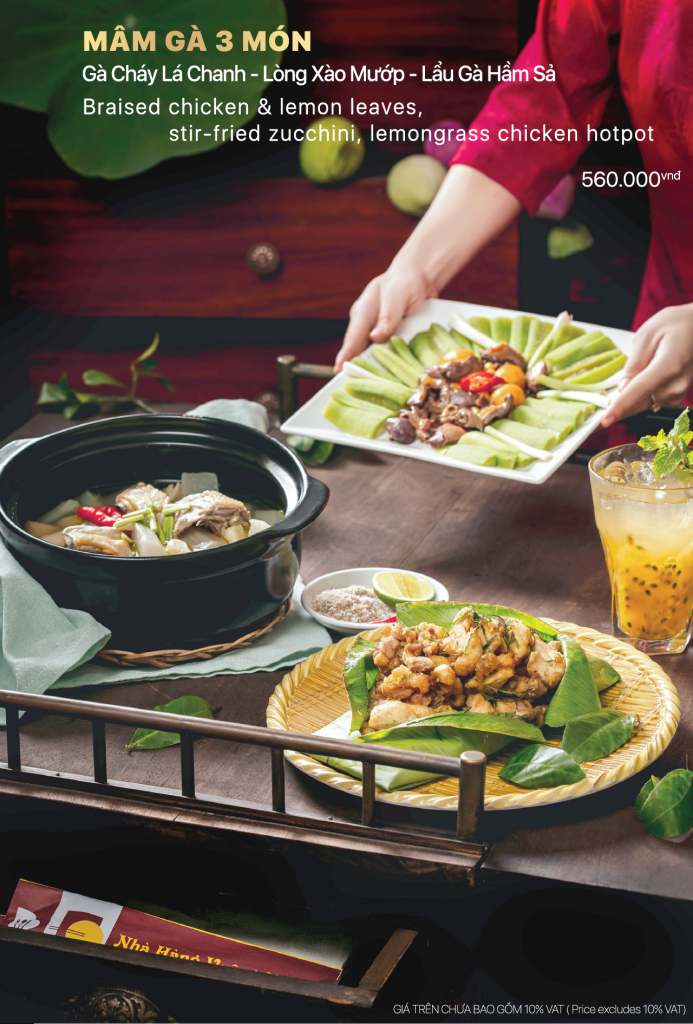 Gà – Chicken – Vuông Tròn